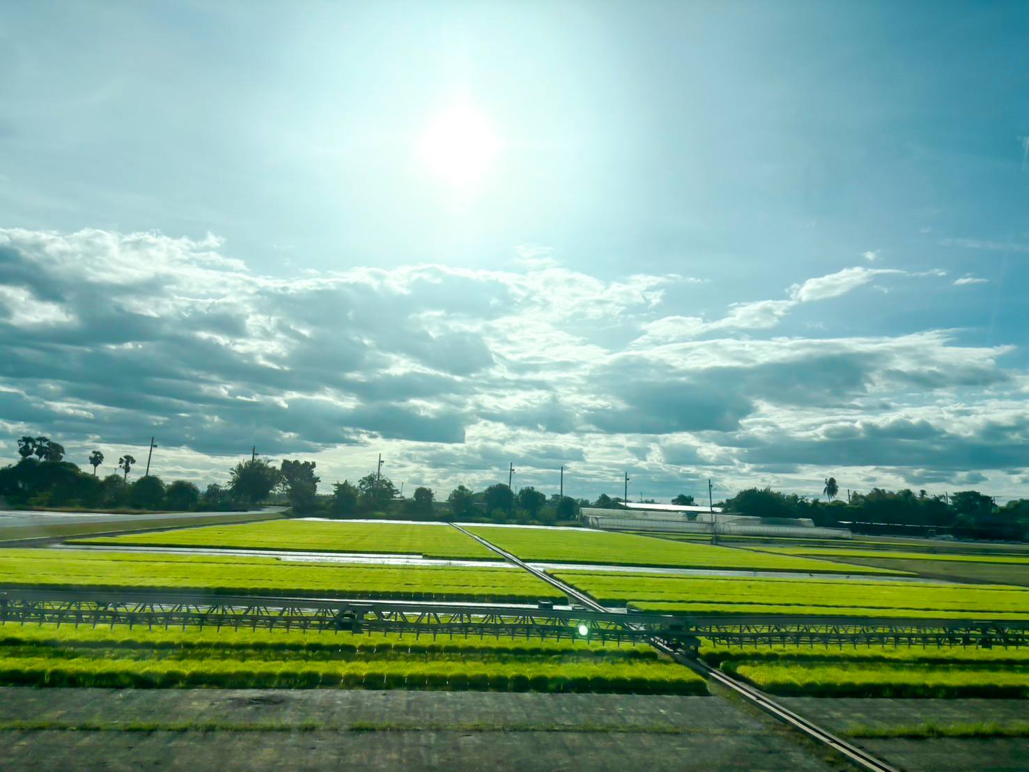 FPH | Thammasat University